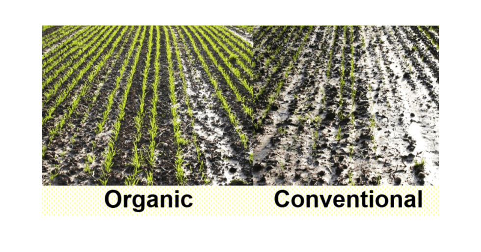 Regenerative Farming – GMOScience