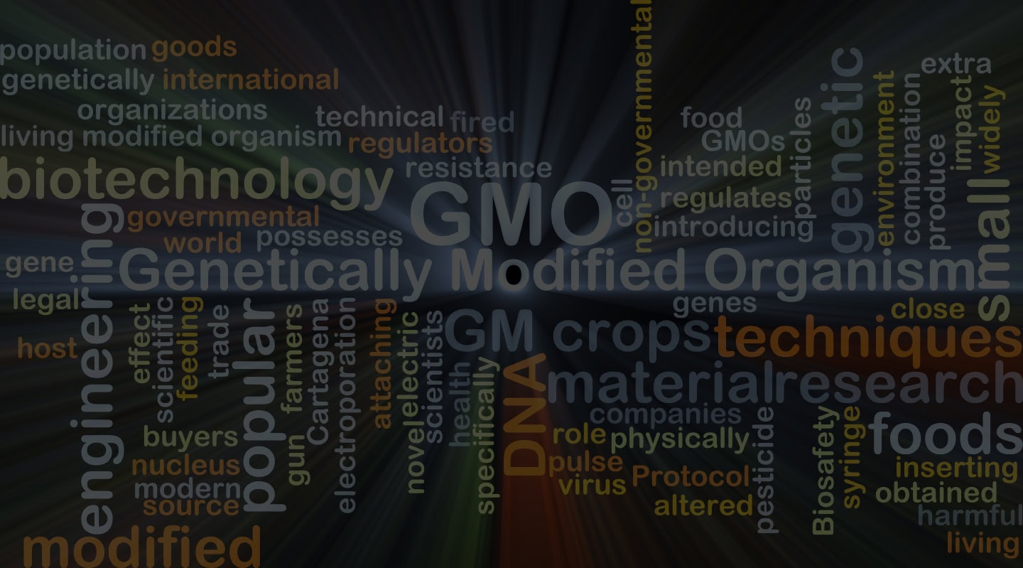 GMOScience