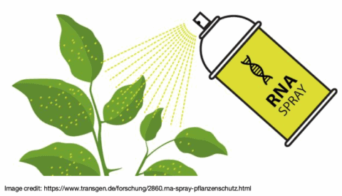RNA Spray Crops vs. GMOs: A Physician’s Warning on Terrana Biosciences ...